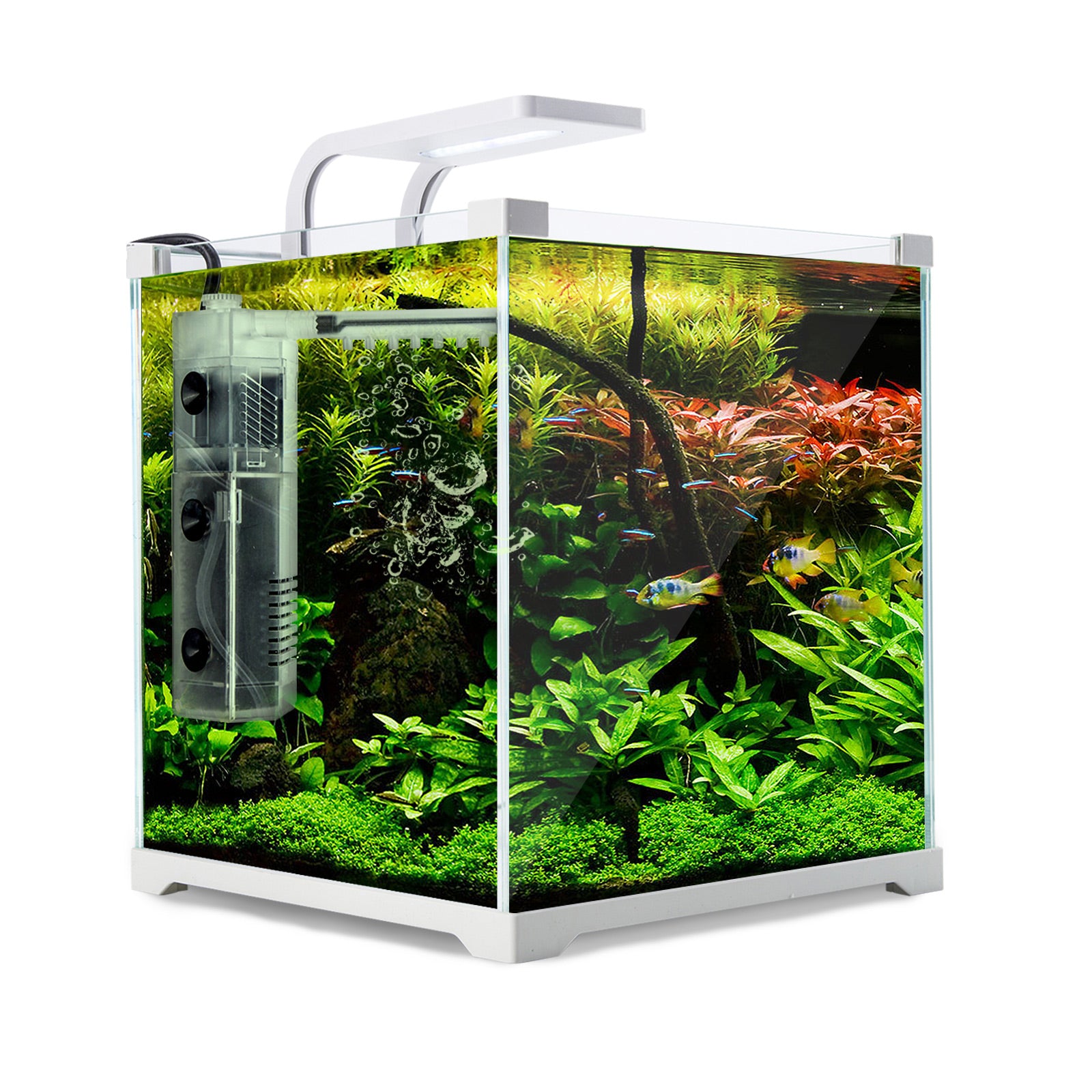 Dynamic Power Aquarium Fish Tank 16L Starfire Glass – PetBase.au