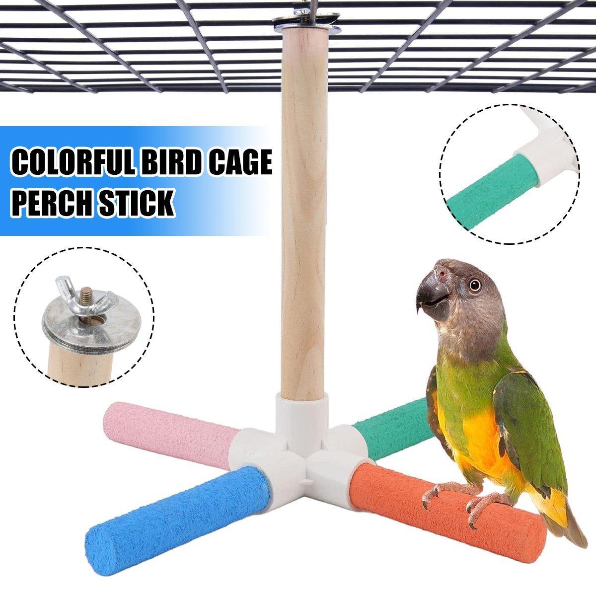 Bird Perch – PetBase.au