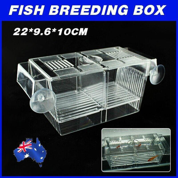Large Breeder Rearing Isolation Box – PetBase.au